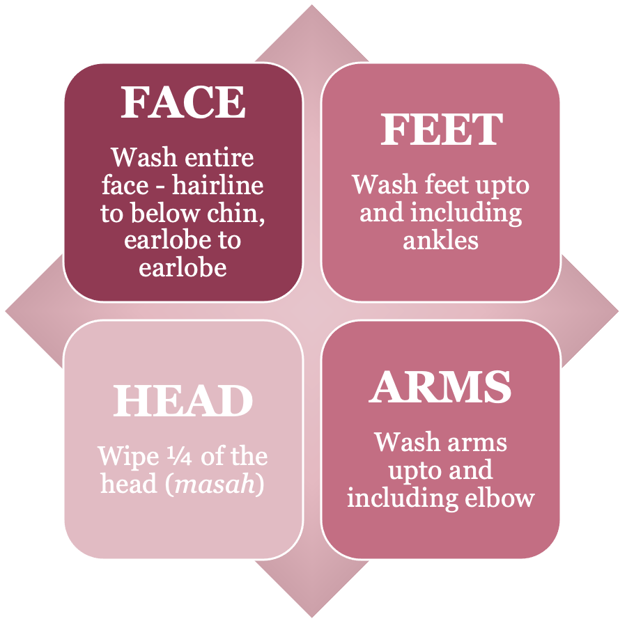 Ablution (Wudu) – Menses Matters